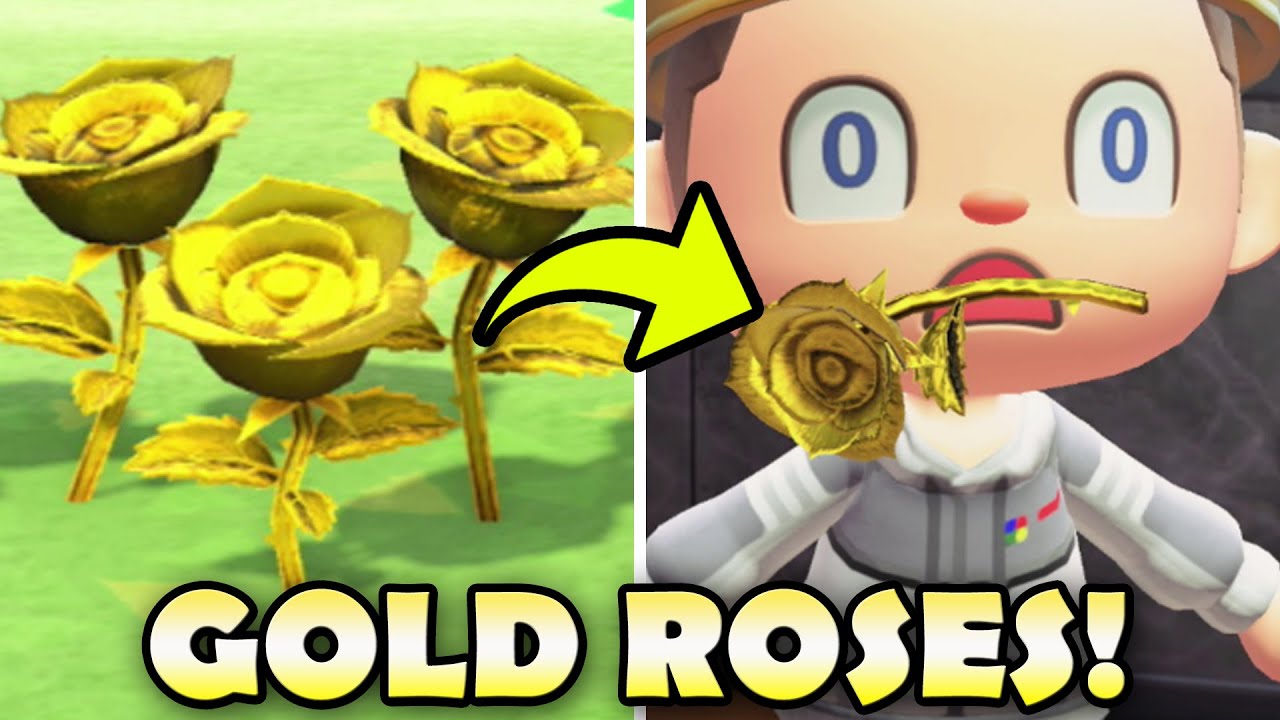 How to Grow and Use Golden Roses in Animal Crossing – Wmbtc.com